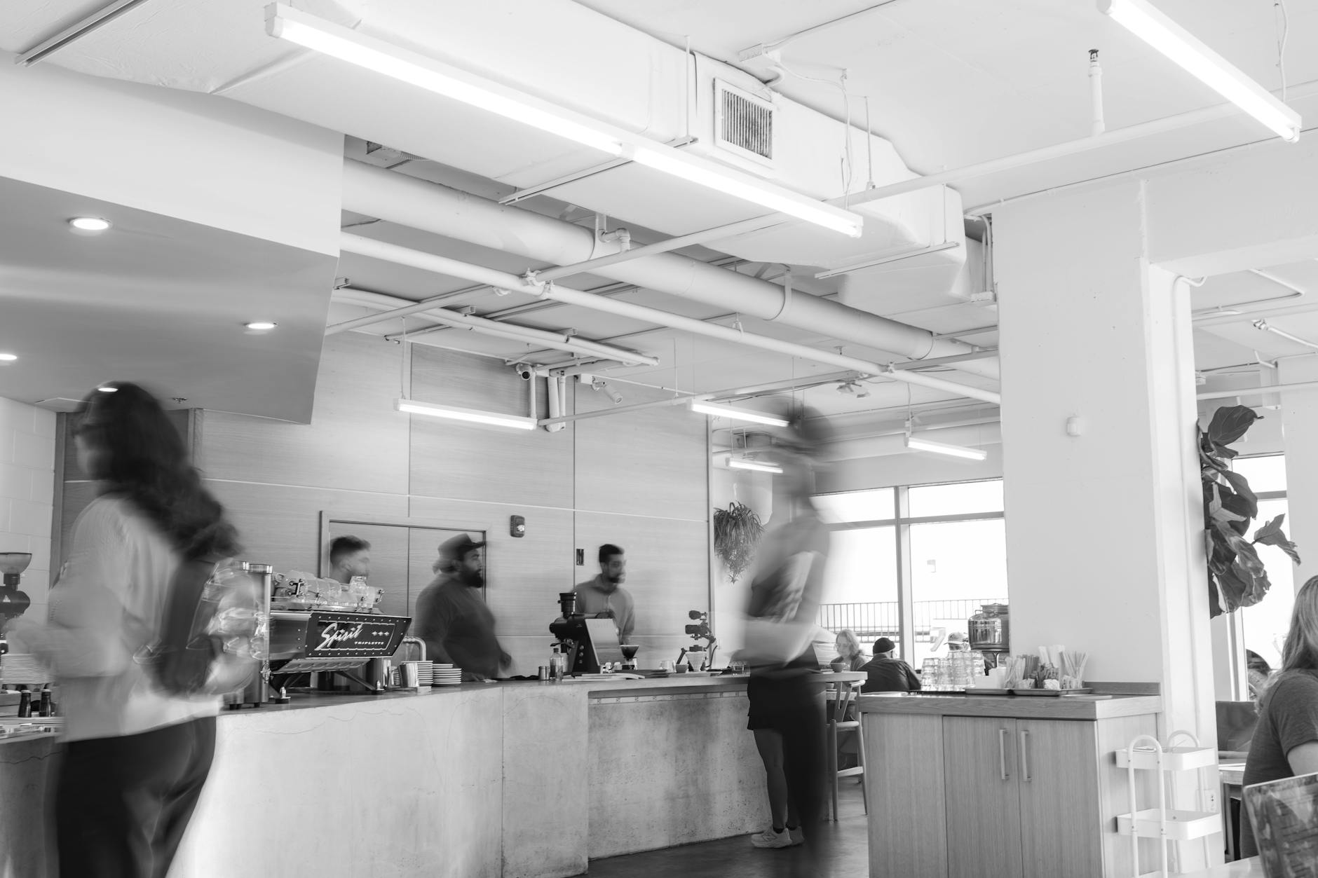 MVP to Scale: EdTech Roadmaps, Security Audits & Growth